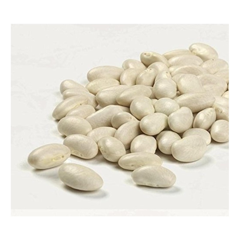 Camellia Brand Dry Great Northern Beans - 1 lb | Premium Quality Beans ...